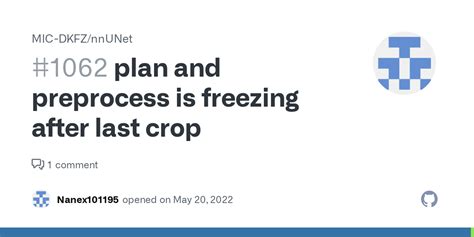 Plan And Preprocess Is Freezing After Last Crop Issue 1062 MIC