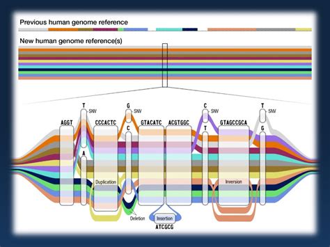 The Human Pangenome And The Flavor Of Epilepsy Variant Interpretation