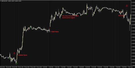 Forex Holy Grail Forex Trading Automated Softwares And Binary Options