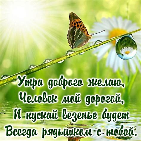 Открытка пожелание доброго утра дорогому человеку