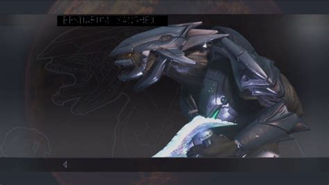 Sangheili Hellcat Squadran Wiki Fandom