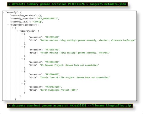 Retrieve Genome Data By Bioproject Using The Datasets Command Line Tool