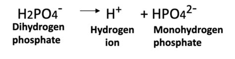 Phosphate Buffer System Flashcards Quizlet
