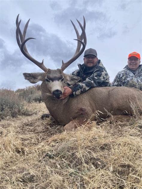 Trophy Mule Deer Hunting In Southeast Wyoming