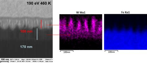 SEM Image Of FIB Prepared Cross Section Of Sample After Plasma Exposure Download Scientific