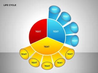Life Cycle Diagram PPT