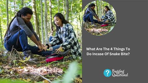 What Are The 6 Common Types Of Rashes And Their Treatment Here Is What To Know Bugging Questions