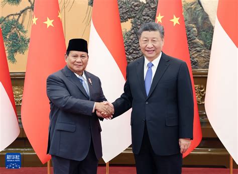 習近平国家主席、インドネシアのプラボウォ次期大統領と会談 人民網日本語版 人民日報