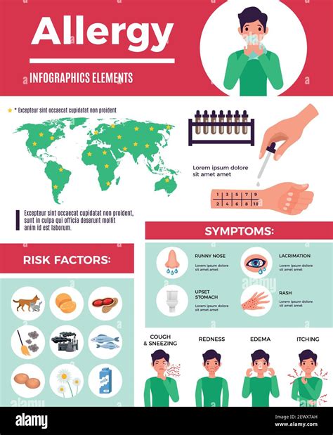 Allergie Infografik Elemente Mit Symptomen Und Behandlungssymbolen