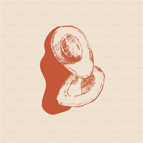 베이지색 배경에 양파 두 개를 그린 그림 벡터 Unsplash의 갈색 양파 이미지
