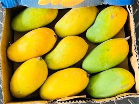 Mango Corner Combo Offer 1 Box Pakistani Sindri Facebook