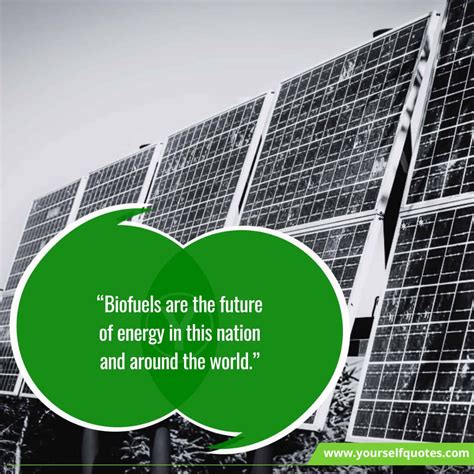 National Energy Conservation Day 2023 Quotes Messages The Best Ones