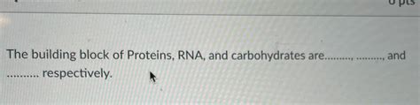 Solved Pts The Building Block Of Proteins Rna And Carbohydrates