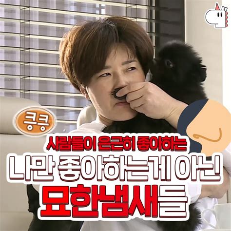 나만 알고싶은 꿀팁 사람들이 은근히 좋아하는 냄새들  특 다 뭔냄샌지 알음 ㅋ 지하주차장