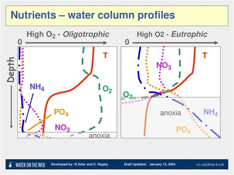 Iii Nutrients Phosphorus Rev Ppt Download