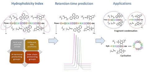 Amino Acids Hydrophobic Index At David Carstens Blog