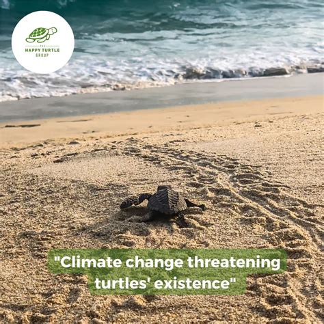 The Happy Turtle Straw On Linkedin Help Sostenibilita Sustainable