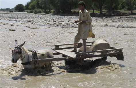 Al Menos 27 Muertos Y 146 Heridos Por Fuertes Lluvias En Pakistán Soy
