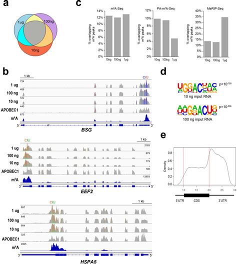 Low Input Dart Seq A Venn Diagrams Showing Overlap Among Methylated
