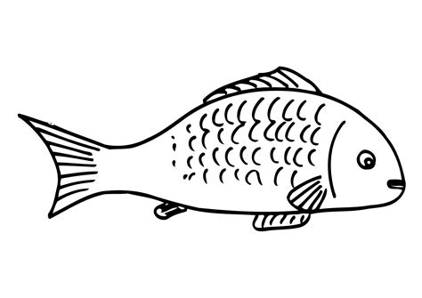 Fish Coloring Pages 11