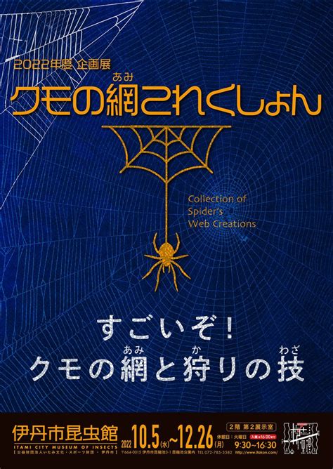 【伊丹市昆虫館】企画展「クモの網これくしょん」開催中！12月26日（月）まで 「伊丹」をキーワードに「ひと」や「まち」の魅力にフォーカス