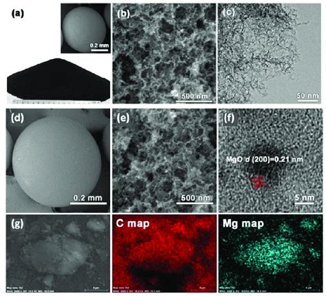 Optical A SEM B And TEM Images C Of MCSs SEM Images At Low D Download Scientific