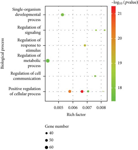 Bioinformatic Analysis Reveals The Hub Genes Of Il 6 Mir 133a 3p Axis
