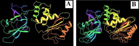 A Conformational Stability Of Initial Structure And B Final