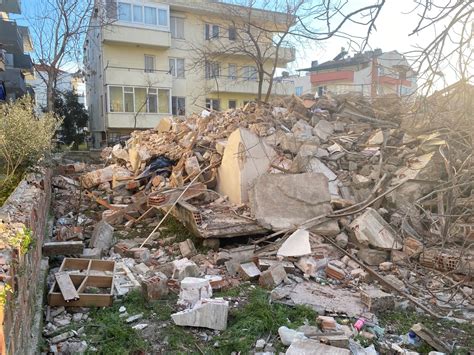 トルコで地震に遭ったら・・・ トルコ猫暮らしのブログ