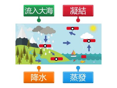 水循環 標籤圖表