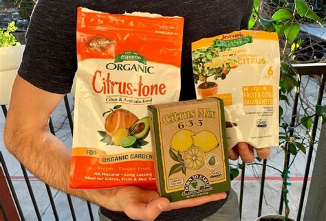 The Full Guide To Lime Tree Fertilizer And The Top 3 Brands Couch To