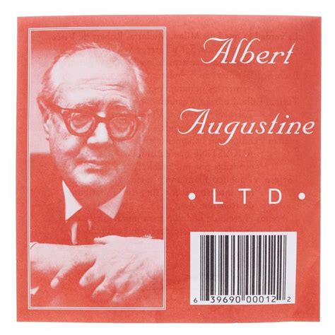 Augustine E 6 String Red Label Musikhaus Thomann