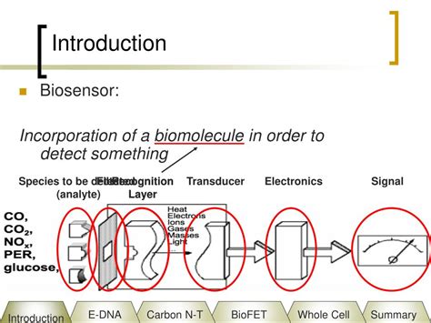 Ppt Biosensors Powerpoint Presentation Free Download Id 227716