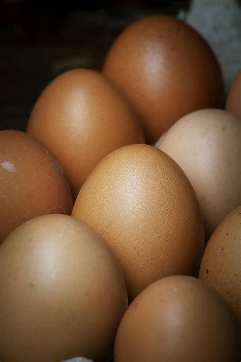 Eggshell Texture Photos Download The Best Free Eggshell Texture Stock