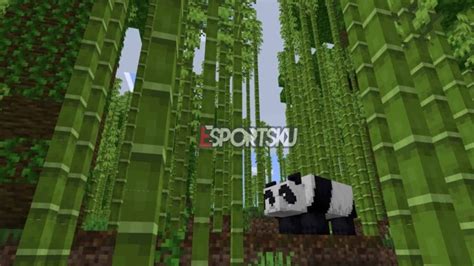 Cara Menjinakkan Panda Di Minecraft Esportsku