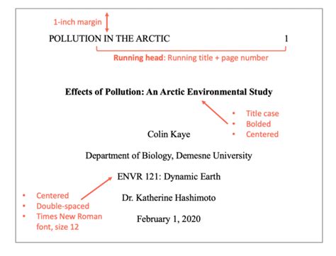 APA Referencing Th Edition Essential Rules And Guidelines