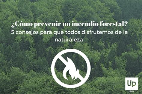 5 Consejos Para Prevenir Los Incendios Forestales