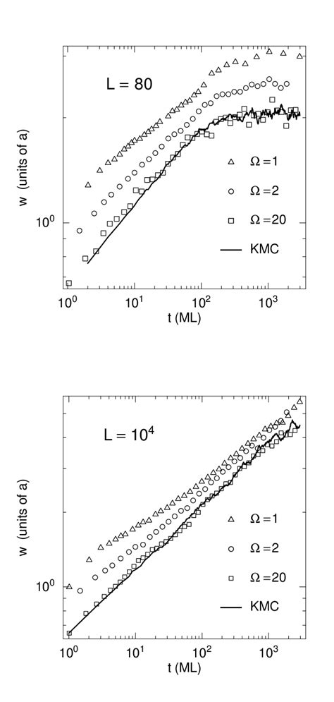 1 Surface Roughness Obtained From The Integration Of The Langevin Download Scientific Diagram