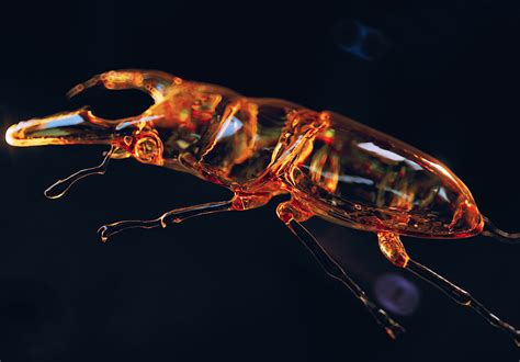 Bug Behance