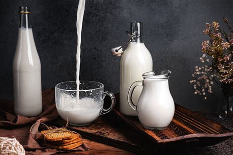 รูปภาพvegan Cookies เลือกดูภาพถ่ายสต็อก เวกเตอร์ และวิดีโอ419