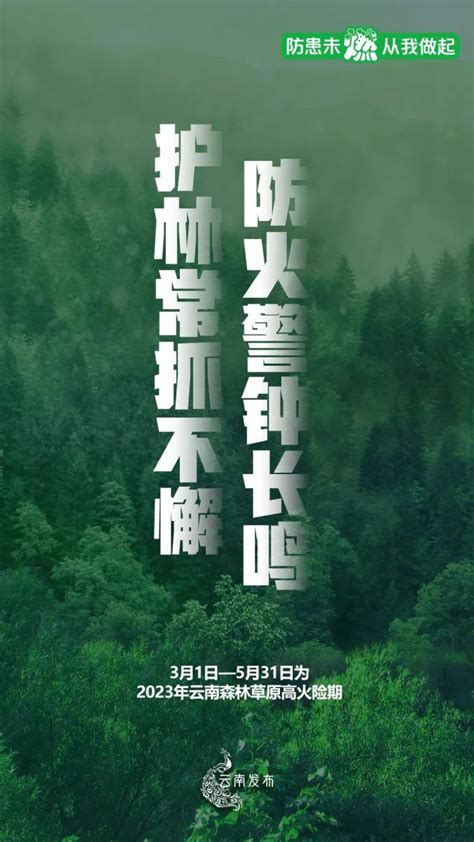 主播说天气热出今年以来新高度 澎湃号媒体 澎湃新闻 The Paper