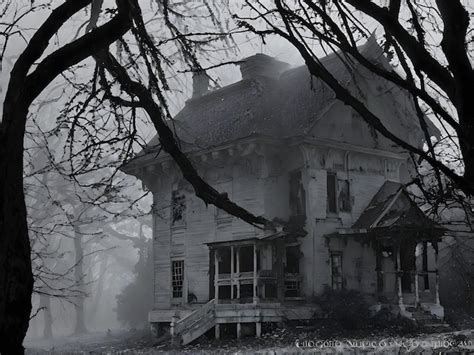 Premium Ai Image Spooky Abandoned House In A Foggy Forest Haunted