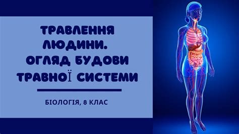 Будова та функції травної системи Тест з біології «На Урок