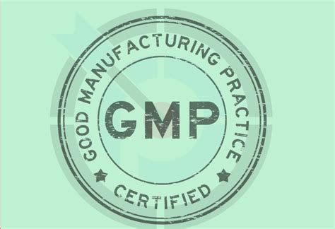 gmp audit guide precision life sciences