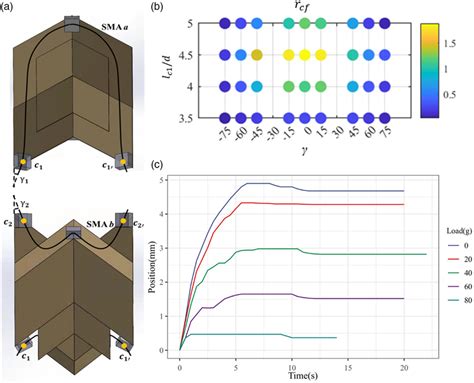 a parameters γ1 γ2 and constraint points c1 c1 c2 c2 due to the