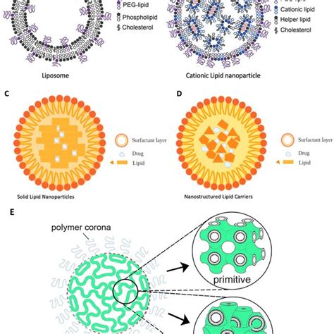 Schematic Diagrams Of Lipid‐based Nanoparticles A Liposome And B Download Scientific