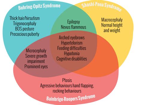 Other Cases Related With Bos Bohring Opitz Syndrome