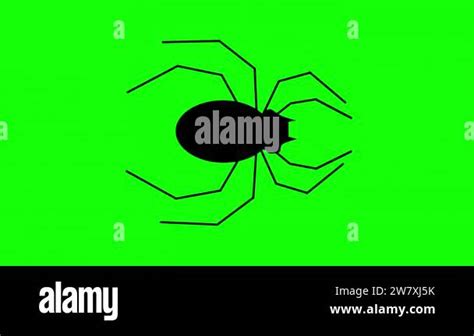 Schematic Illustrations Stock Videos And Footage Hd And 4k Video Clips