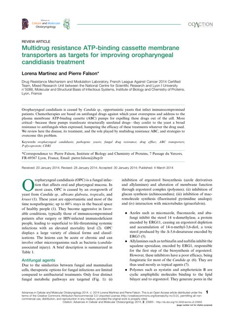 Pdf Multidrug Resistance Atp Binding Cassette Membrane Transporters As Targets For Improving