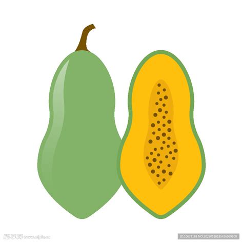 青木瓜设计图图片素材其他设计图库昵图网